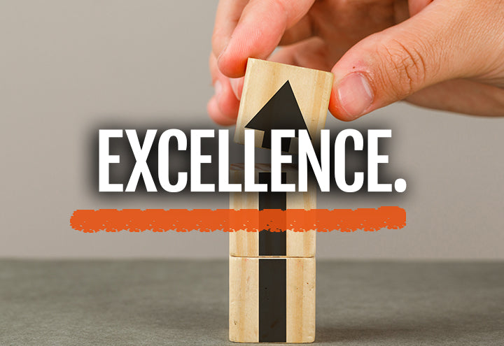 Navigating The Path To Success Balancing Excellence And Well Being